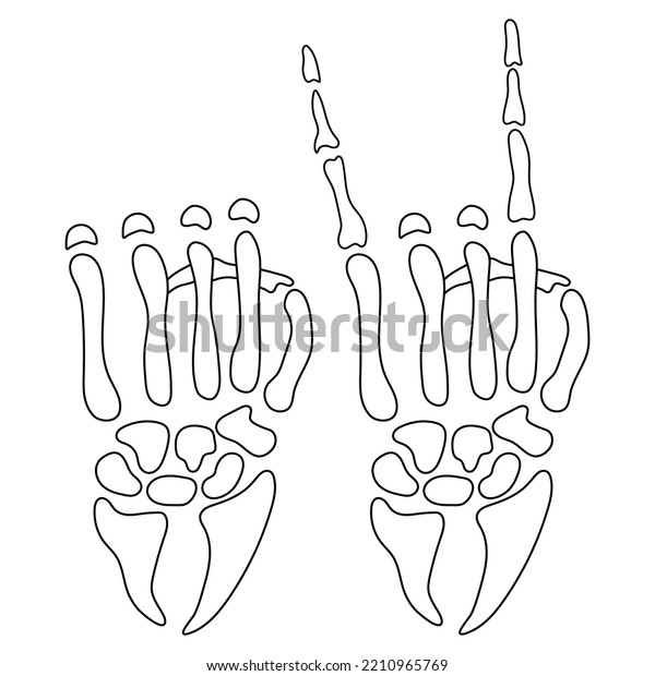Skeleton Hand Gestures Vector Illustration Stock Vector (Royalty Free ... Skeleton Hand Gestures Vector Illustration Stock Vector (Royalty Free ...