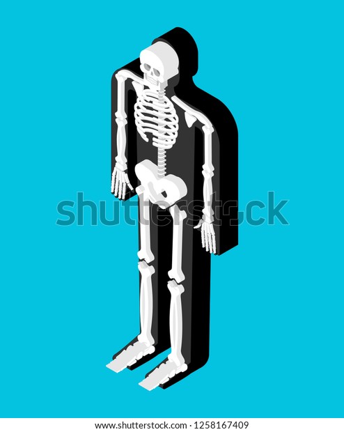Skeleton Isometric Anatomy Human Body Internal: vector de stock (libre ...