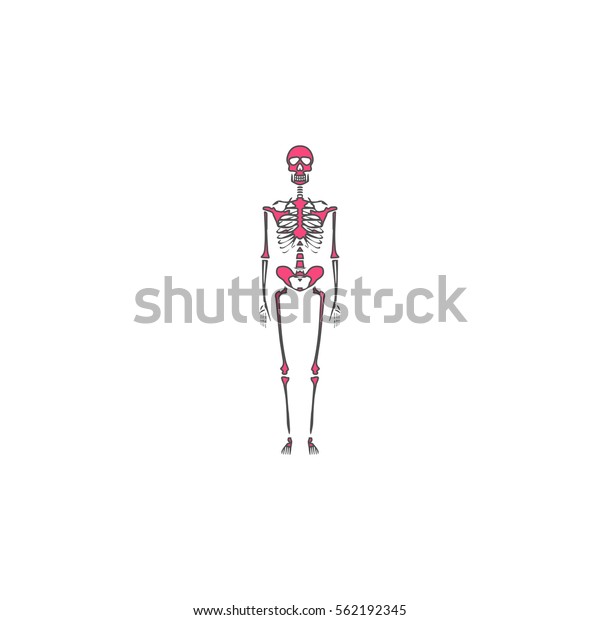 Skeleton Pink Vector Icon Black Contour Stock Vector (Royalty Free ...
