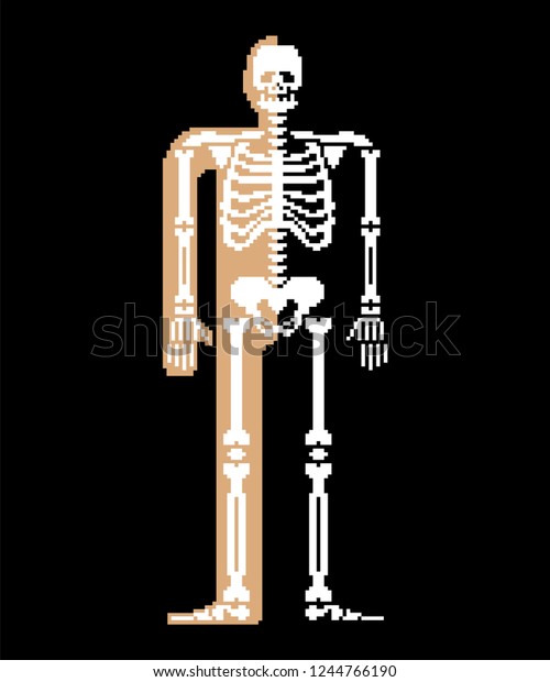 Skeleton Pixel Art Skull Bones Anatomy: เวกเตอร์สต็อก (ปลอดค่าลิขสิทธิ์ ...
