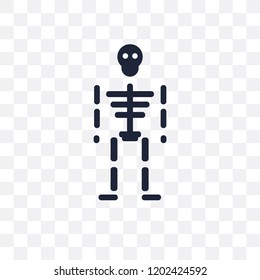 Skeleton Transparent Icon Skeleton Symbol Design Stock Vector (Royalty ...