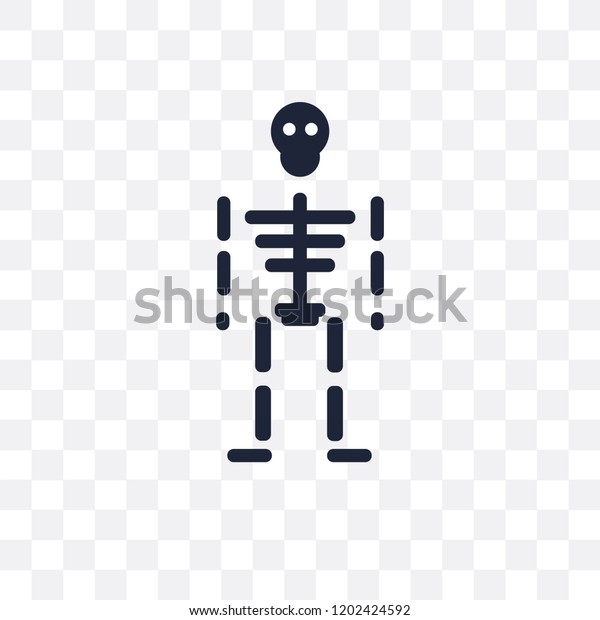 Skeleton Transparent Icon Skeleton Symbol Design Stock Vector (Royalty ...