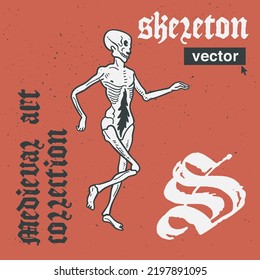 Skeleton Vector Engraving Style Illustration Medieval Stock Vector ...