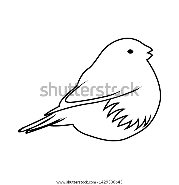 Sketch Bird Outline Design Vector Illustration Stock Vector (Royalty ...