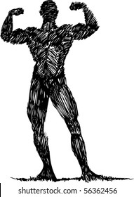 Sketch Bodybuilder Stock Vector (Royalty Free) 56362456 | Shutterstock