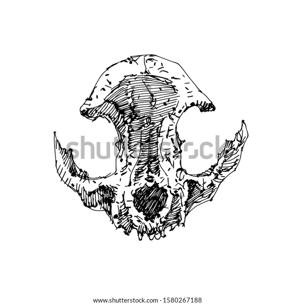 Sketch Cat Skull Vector Artwork Stock Vector (Royalty Free) 1580267188 ...