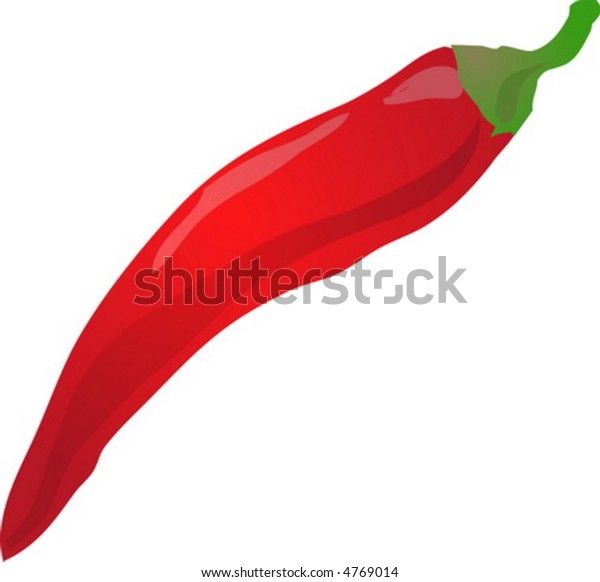 Sketch Chilli Handdrawn Lineart Look Illustration Stock Vector (Royalty ...