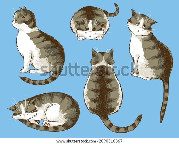 Sketch Collection Funny Tabby Cats Handdrawn Stock Vector (Royalty Free ...