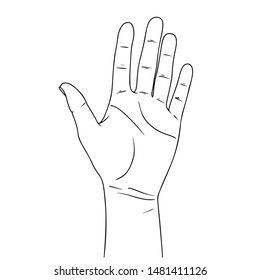 Sketch Hand Spread Out Fingers Hand Stock Vector (Royalty Free) 623375357