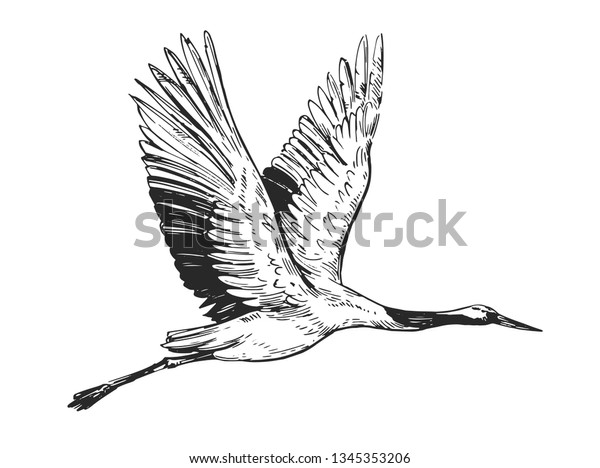 Sketch Crane Hand Drawn Illustration Converted: vector de stock (libre ...