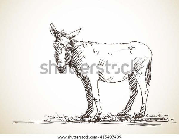 Sketch Donkey Hand Drawn Illustration Stock Vector (Royalty Free) 415407409