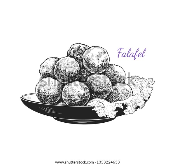 Sketch Falafel Falafel Leaf Lettuce On Stock Vector (Royalty Free ...