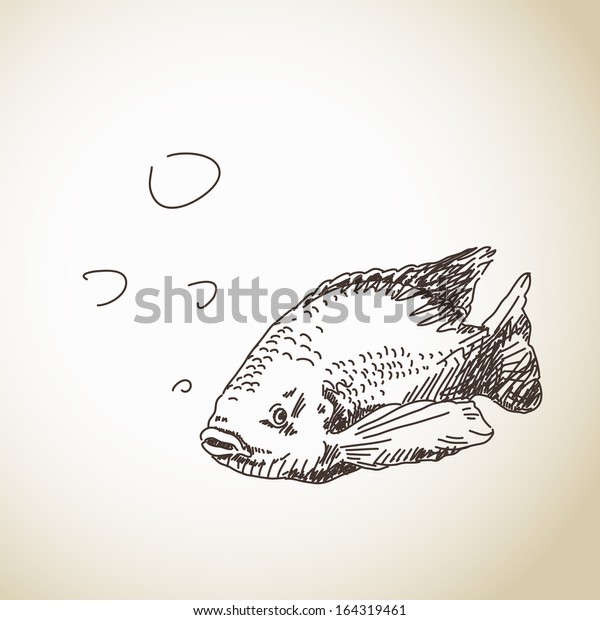 Sketch Fish Vector Illustration: เวกเตอร์สต็อก (ปลอดค่าลิขสิทธิ์ ...