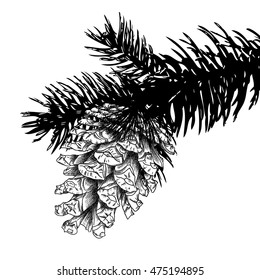 Sketch Hand Drawing Pine Cone On Stock Vector (Royalty Free) 475194895 ...