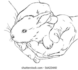 Black White Line Art Sketch Sleeping 库存矢量图（免版税）1261651351 | Shutterstock