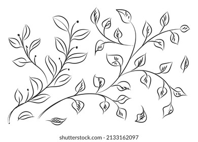 17,147 Plant hatch Images, Stock Photos & Vectors | Shutterstock