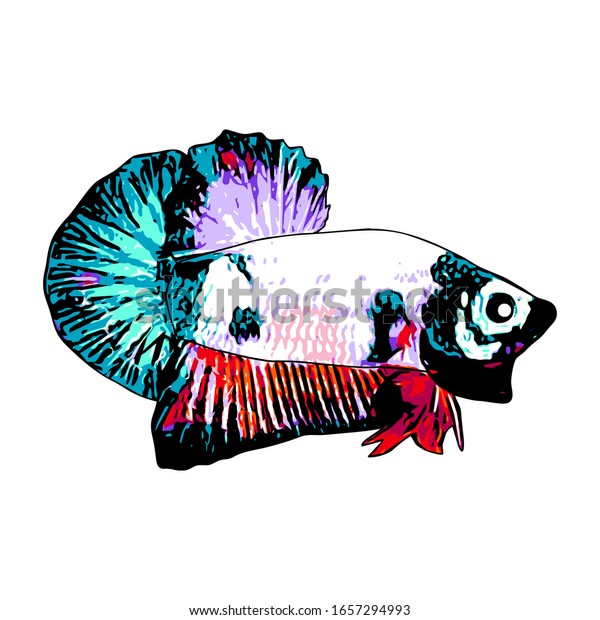 Sketch Illustration Fish Fights Background Vector Stock Vector (Royalty ...