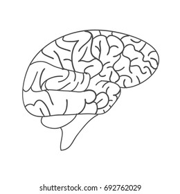Sketch Ink Human Brain Hand Drawn Stock Vector (Royalty Free) 692762029 ...