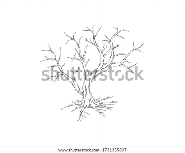 Sketch Line Drawing Dry Tree Vector Stock Vector (Royalty Free ...