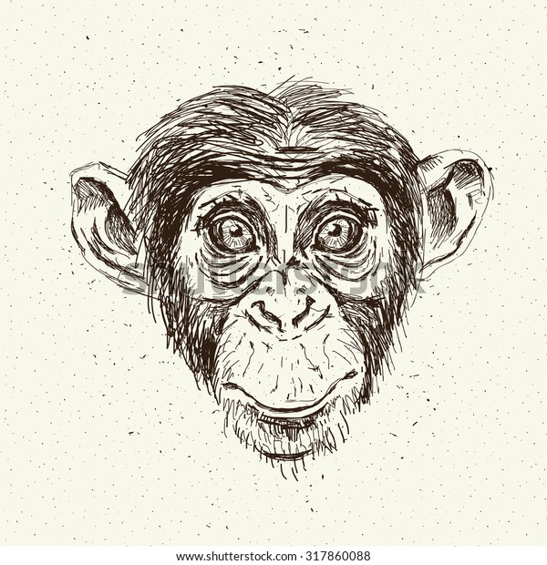 Sketch Monkey Face Hand Drawn Doodle Stock Vector (Royalty Free) 317860088