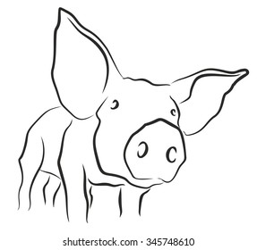 Sketch Pig Stock Vector (Royalty Free) 345748610 | Shutterstock