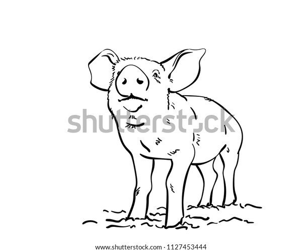 Sketch Pig Hand Drawn Vector Illustration Stock Vector (Royalty Free ... Sketch Pig Hand Drawn Vector Illustration Stock Vector (Royalty Free ...