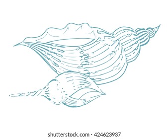 Sketch Sea Shells Spiral Clamshell On Stock Vector (Royalty Free ...