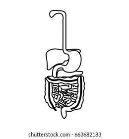 Sketch Silhouette Human Digestive System Vector 스톡 벡터(로열티 프리) 663682183 ...