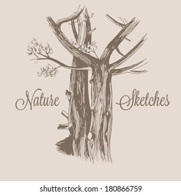 Sketch Tree Trunk Stock Vector (Royalty Free) 180866759 | Shutterstock