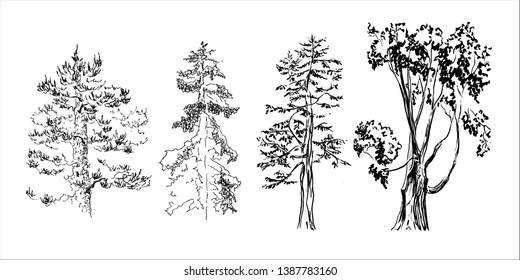 Sketch Trees Simple Black Drawing Trees Stock Vector (Royalty Free ...