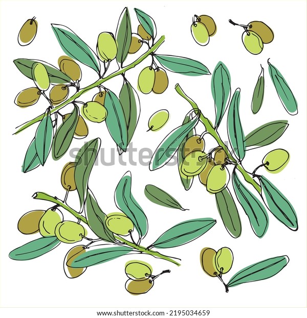 Sketch Wild Olive Branches Hand Drawn Stock Vector (Royalty Free ...