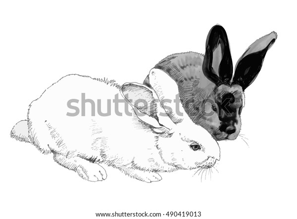 Sketched Cute Rabbits Hand Drawn Illustration Stock Vector (Royalty ...