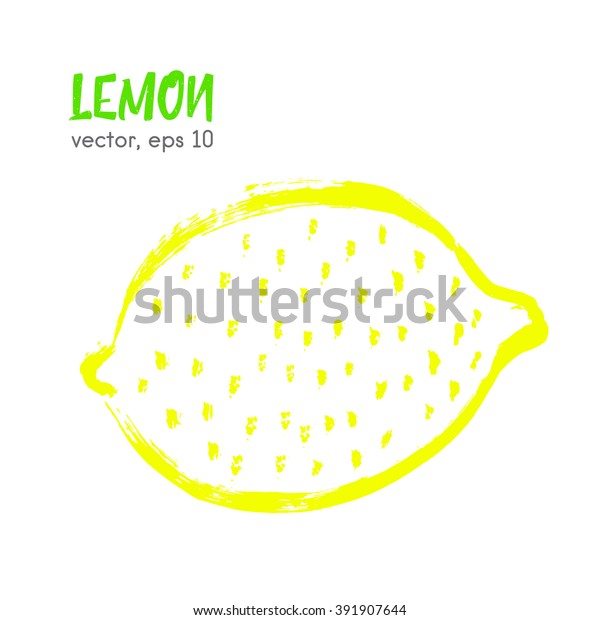 Sketched Fruit Illustration Lemon Hand Drawn Stock Vector (Royalty Free ...