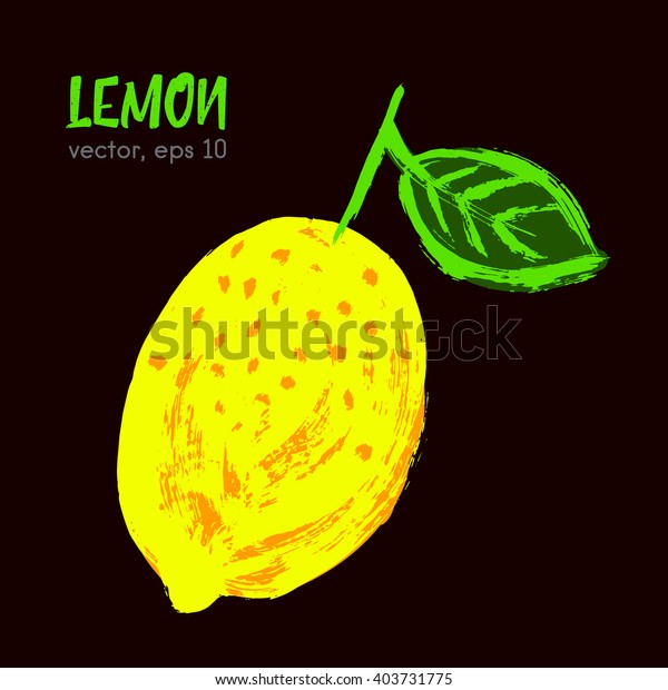 Sketched Fruit Illustration Lemon Hand Drawn Stock Vector (Royalty Free ...