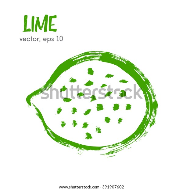 Sketched Fruit Illustration Lime Hand Drawn Stock Vector (Royalty Free ...