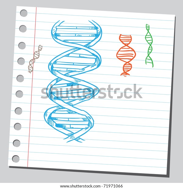 Sketchy Illustration Dna Spirals Stock Vector (Royalty Free) 71971066 ...