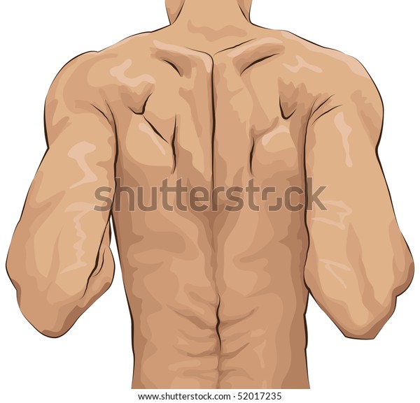 Sketchy Illustration Mans Back Stock Vector (Royalty Free) 52017235 ...
