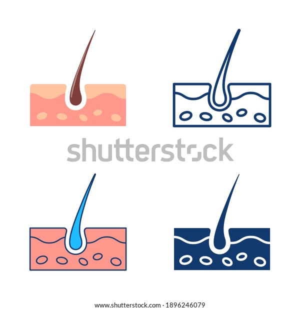 Skin icon set in flat and line style. Human skin and hair anatomy ...