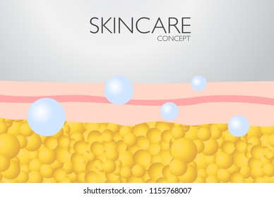 Skin Layer Vector Illustration Skin Care Stock Vector (Royalty Free ...