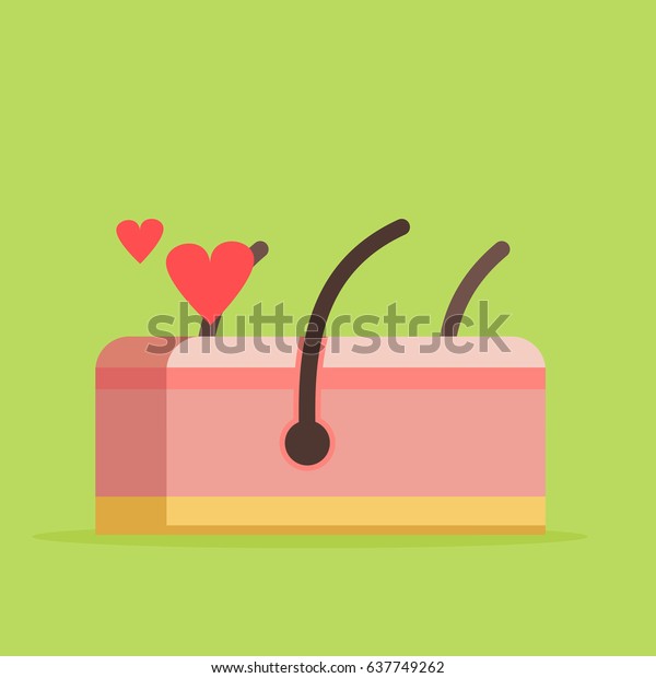 Skin Love Vector Illustration Stock Vector (Royalty Free) 637749262 ...