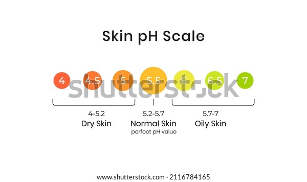 Skin Ph Value Scale Chart Normal: เวกเตอร์สต็อก (ปลอดค่าลิขสิทธิ์ ...