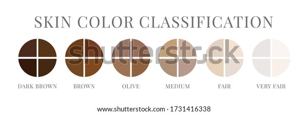 Skin Tone Color Classification Isolated Stock Vector (Royalty Free ...