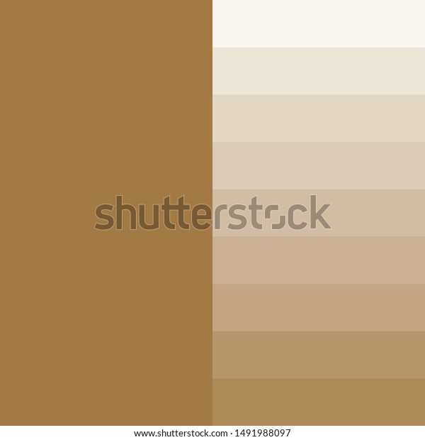 Skin Tones Color Palette Vector Illustration: stockvector (rechtenvrij ...