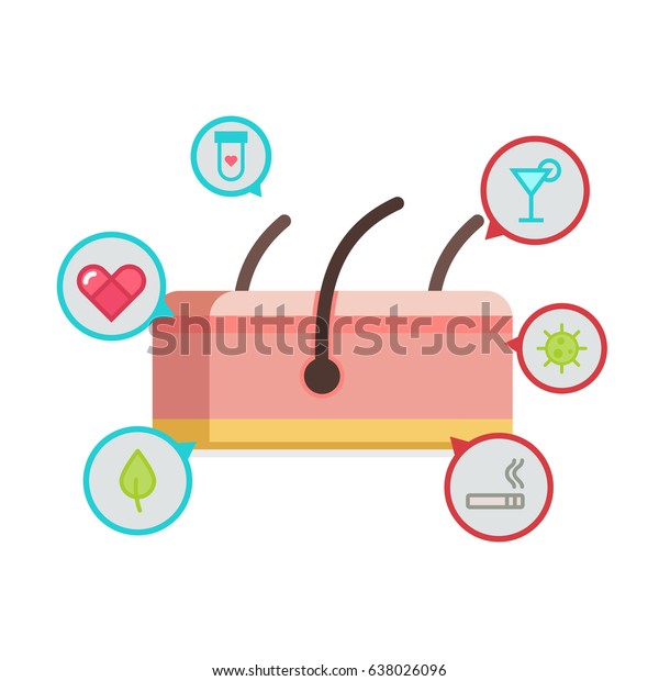 Skin Vector Illustration Infographic Stock Vector (Royalty Free ...