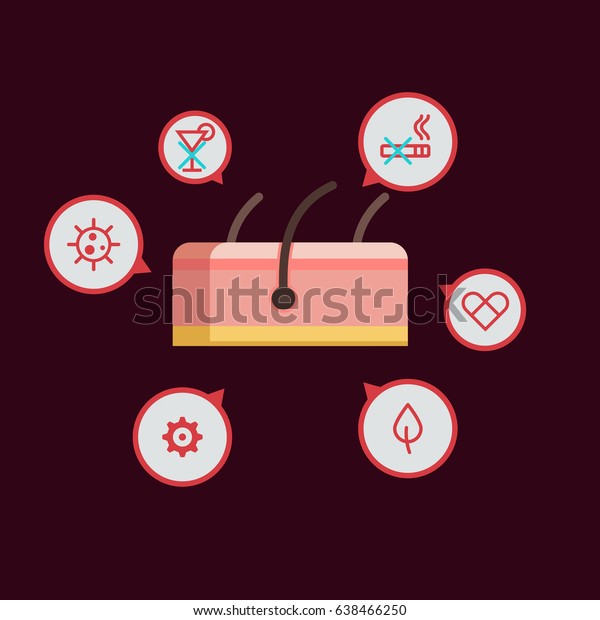 Skin Vector Illustration Infographic Stock Vector (Royalty Free ...