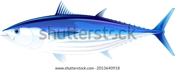 Skipjack Tuna Fish Side View Realistic Stock Vector (Royalty Free ...