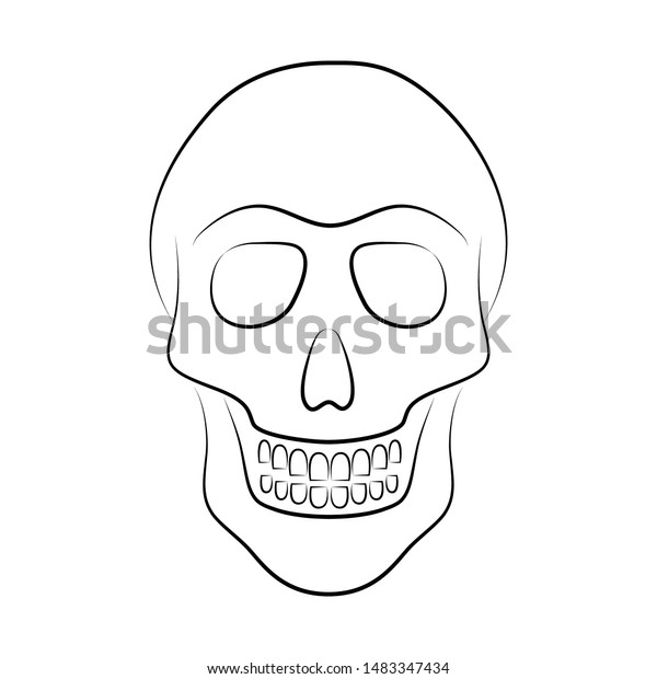 Skull Black Line On White Background: стоковая векторная графика (без ...