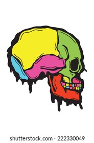 Skull Color Stock Vector (Royalty Free) 222330049 | Shutterstock