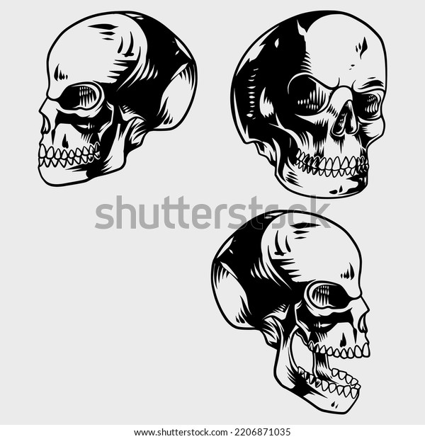 Skull Hand Drawn Set Various Poses Stock Vector (Royalty Free ...