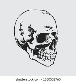Skull Hand Drawn Vector Illustration Stock Vector (Royalty Free) 1830532760